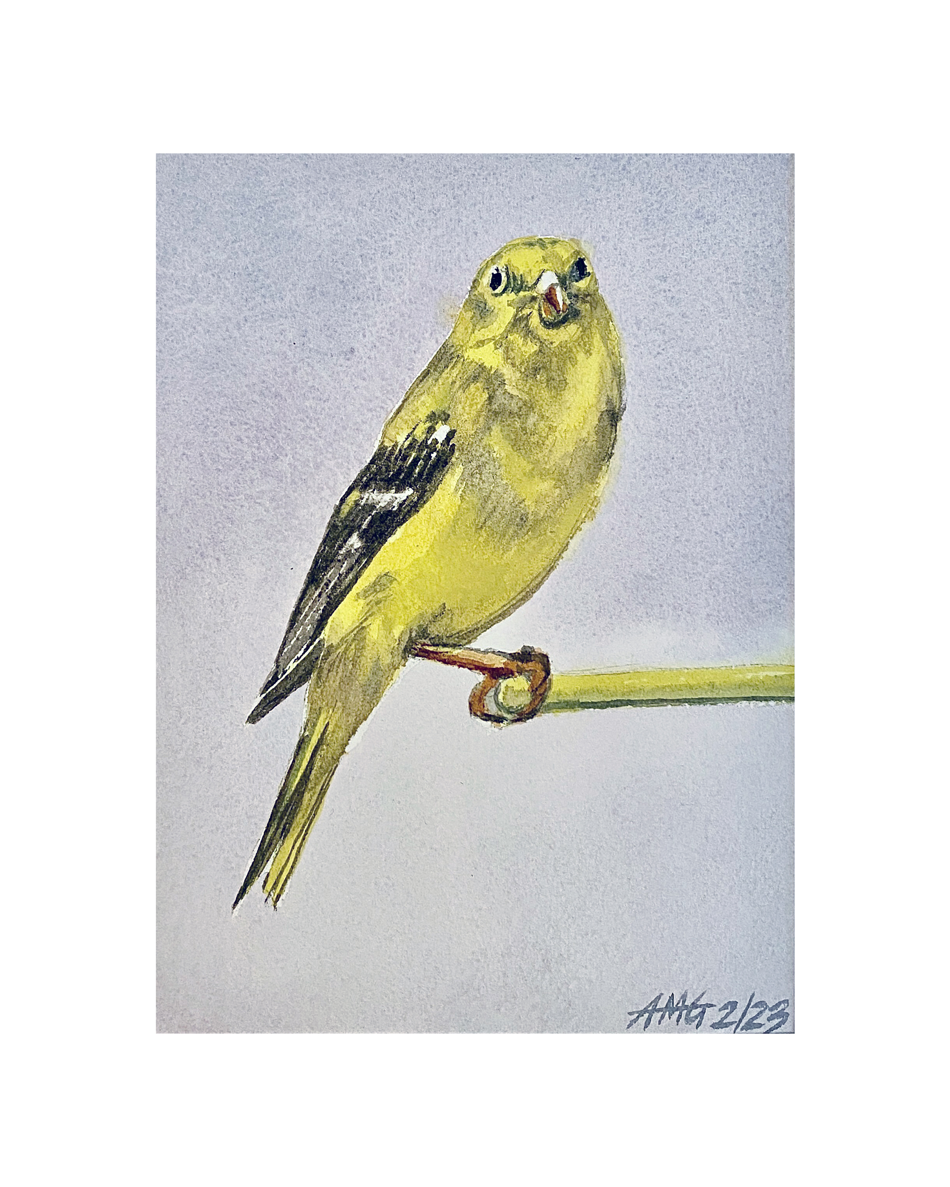 Watercolor Birds – Mona Lisa Lives Here